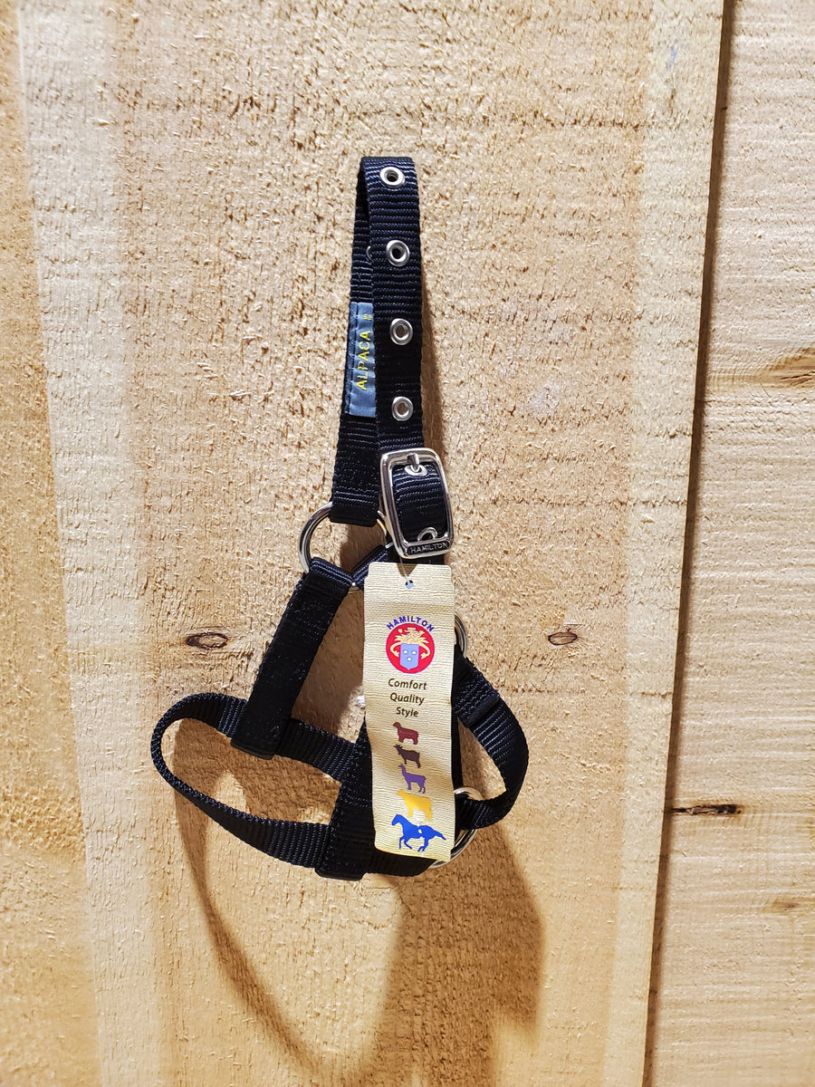 Hamilton® Alpaca Halter – Stone Creek Western Shop