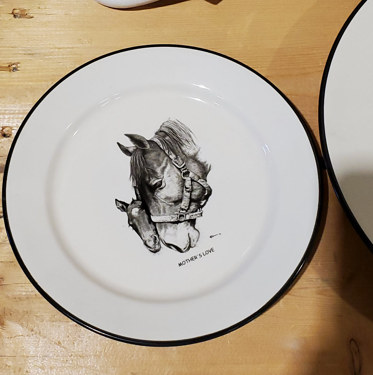 Bernie Brown® Giftware Collection 16 Piece Dinnerware Set by PF Enterp ...