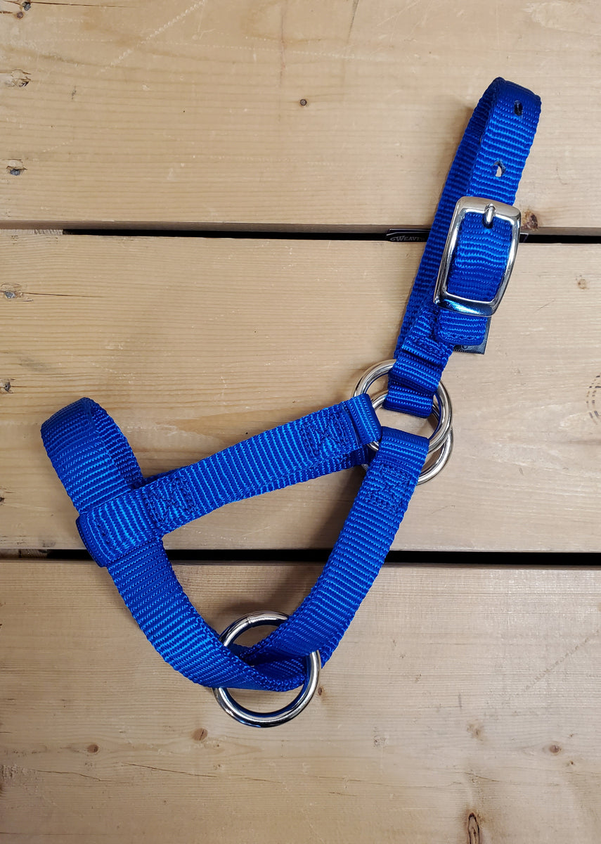 Nylon Goat Halter by Weaver® – Stone Creek Western Shop