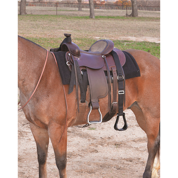 Step Up Stirrup by Cashel® – Stone Creek Western Shop
